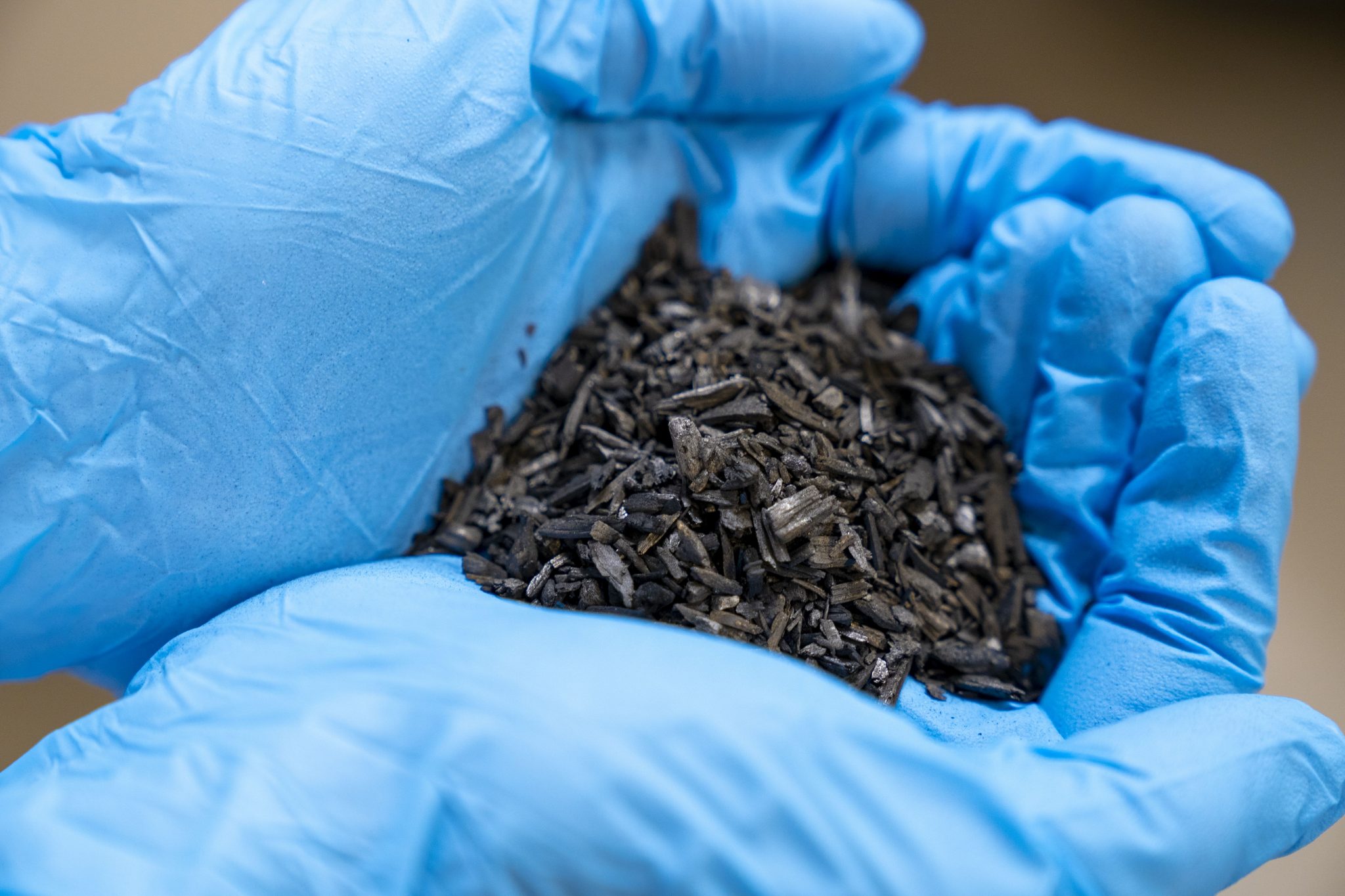 Home - The Biochar Demonstrator