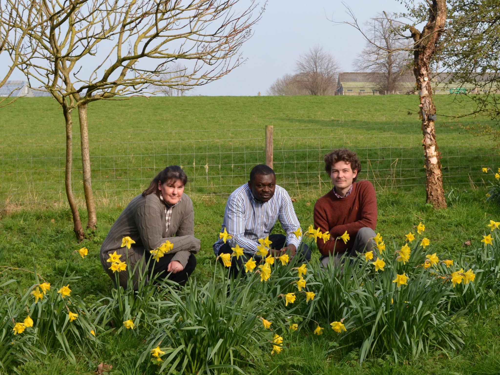 Home - The Biochar Demonstrator